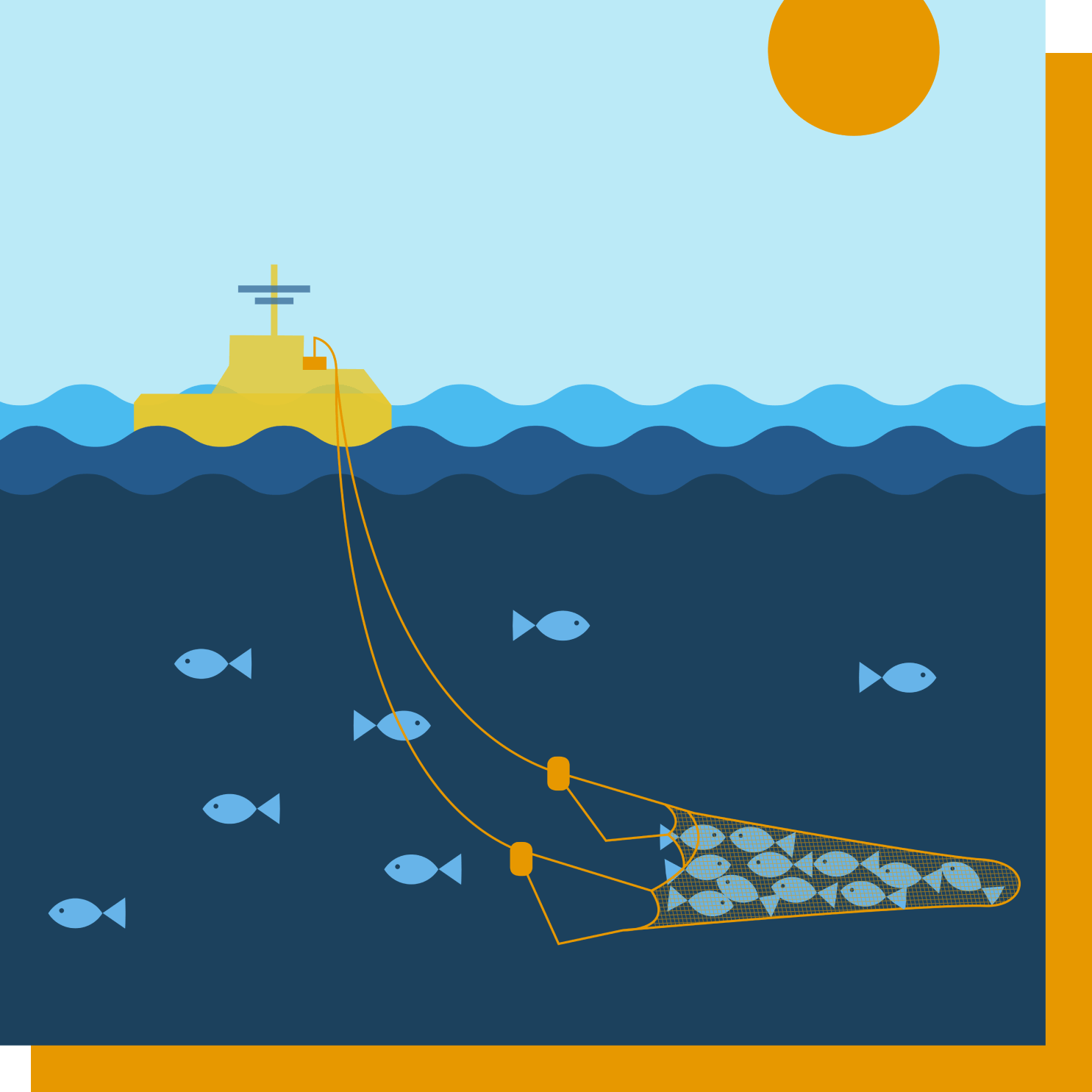 Artes de Pesca y Tipos de Pesca | Pesca España